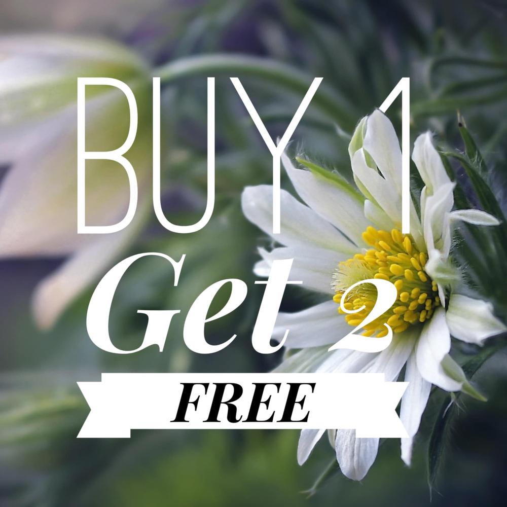 Sonlet | Buy 1, Get 2 Free