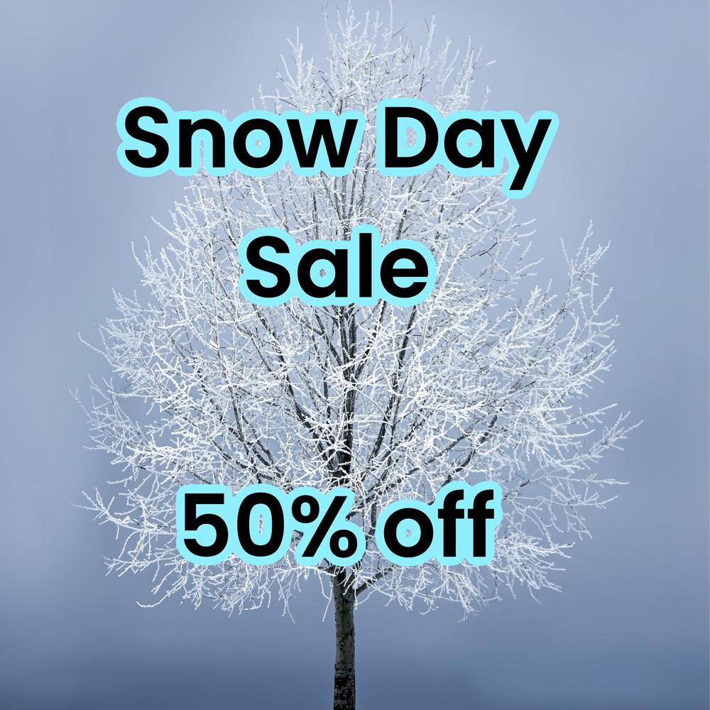 Sonlet | Snow Day Sale
