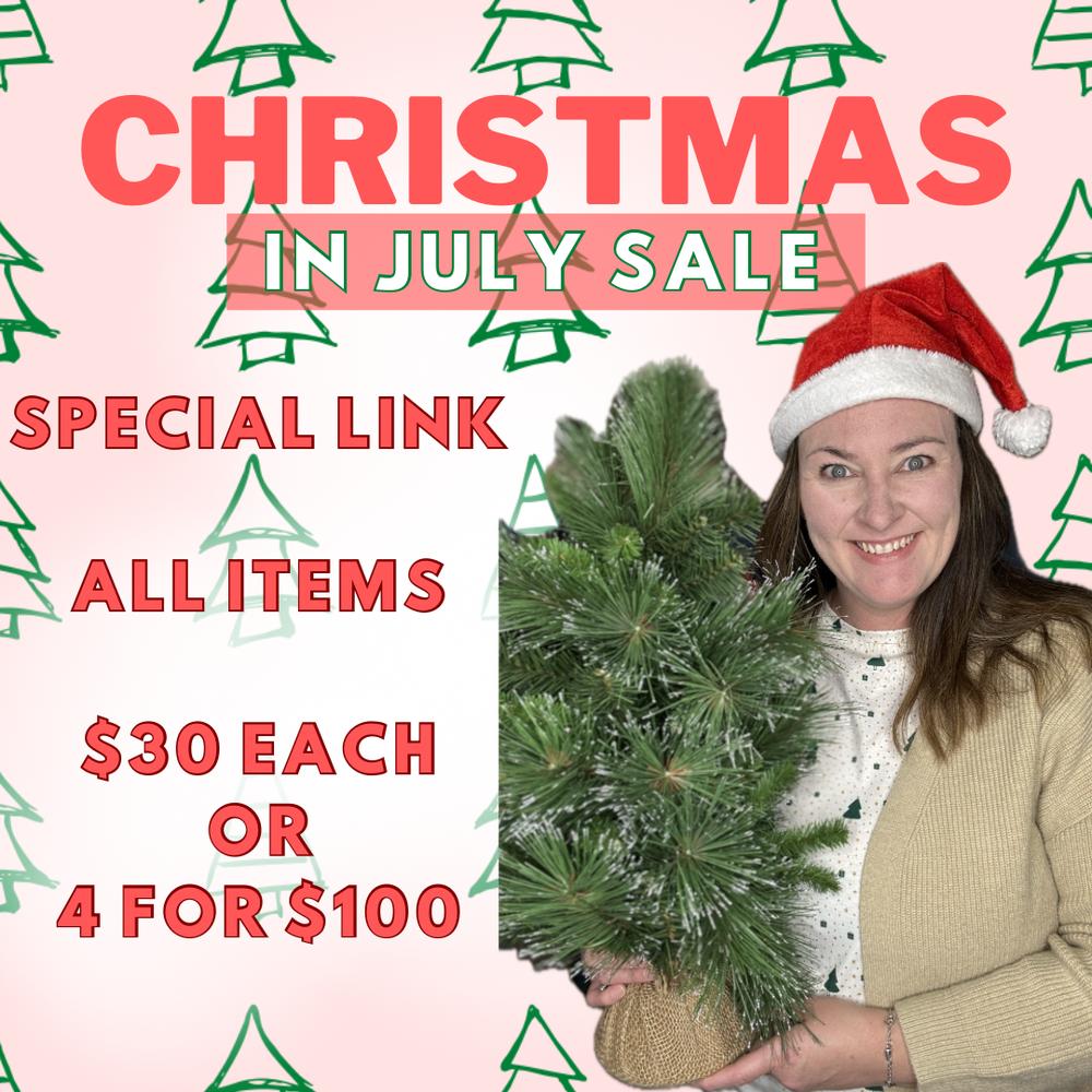 Sonlet | AUG BAM25 Mini with Stephanie Grein 181438 (CO)